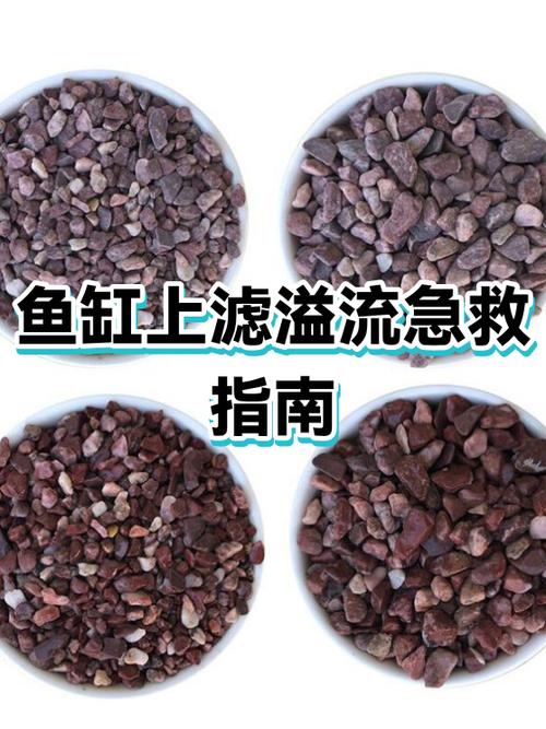 鱼缸会不会爆缸图标