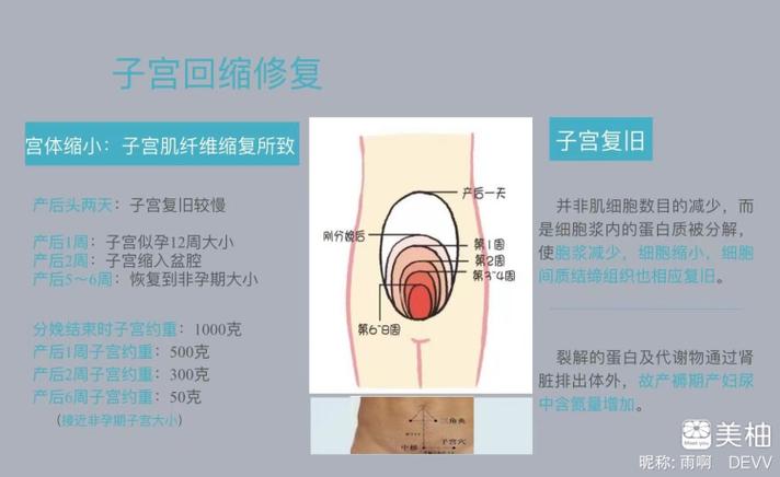 子宫大有什么办法缩小图标