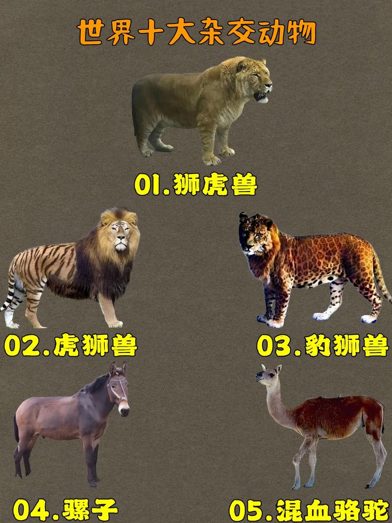 十大杂交动物图标