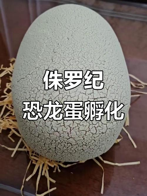 孵化恐龙蛋图标