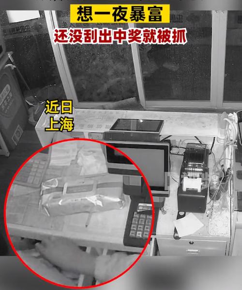 自己开彩票店刷流水不是稳赚吗截图