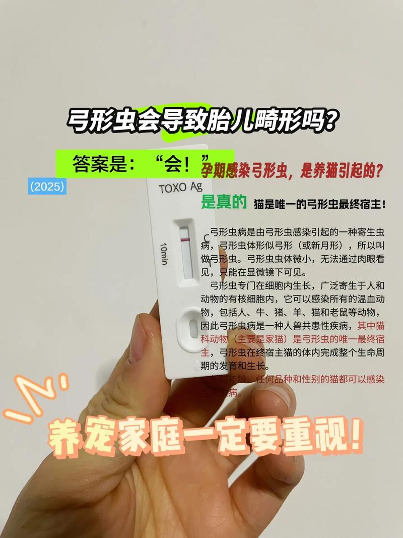 床上有小黑虫像蚂蚁图标