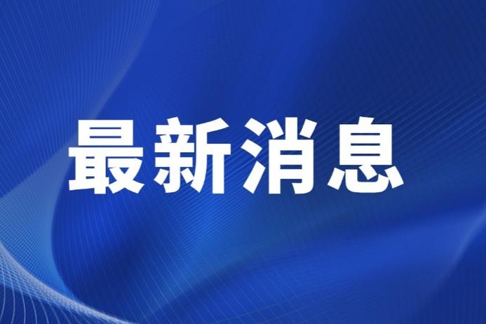 每日新闻资讯图标