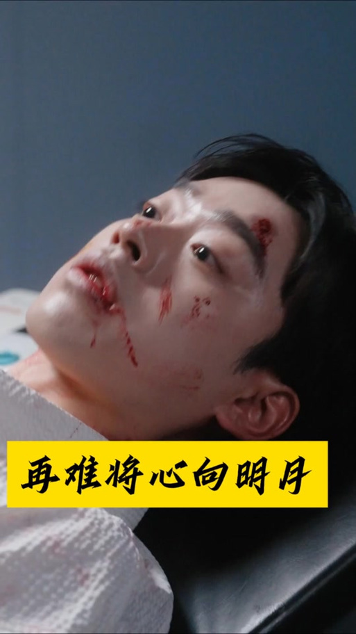 心向明月