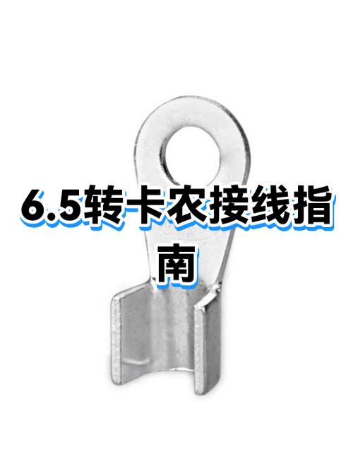 6.5转卡农截图