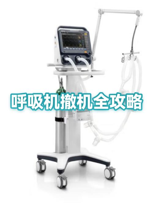 SBT医学图标