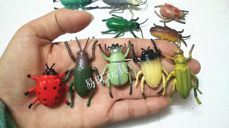 昆虫玩具视频图标