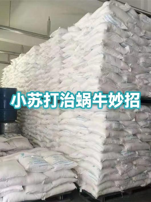 蜗牛防治小妙招图标
