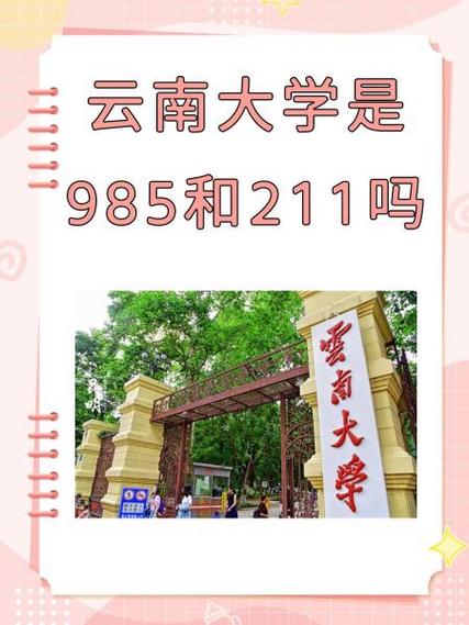 云大是什么大学