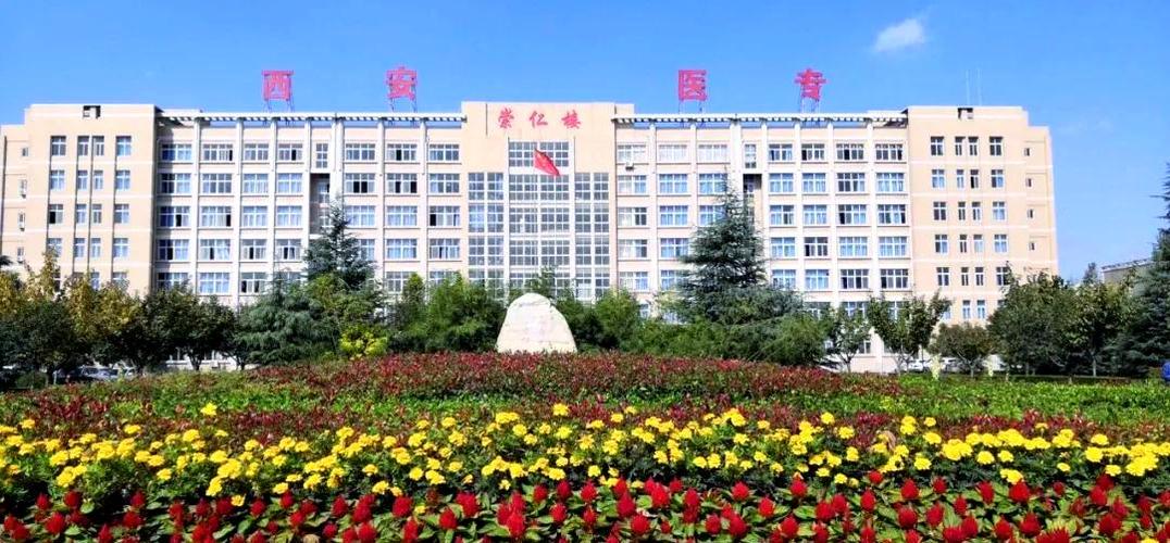 西安医学高等专科学校截图