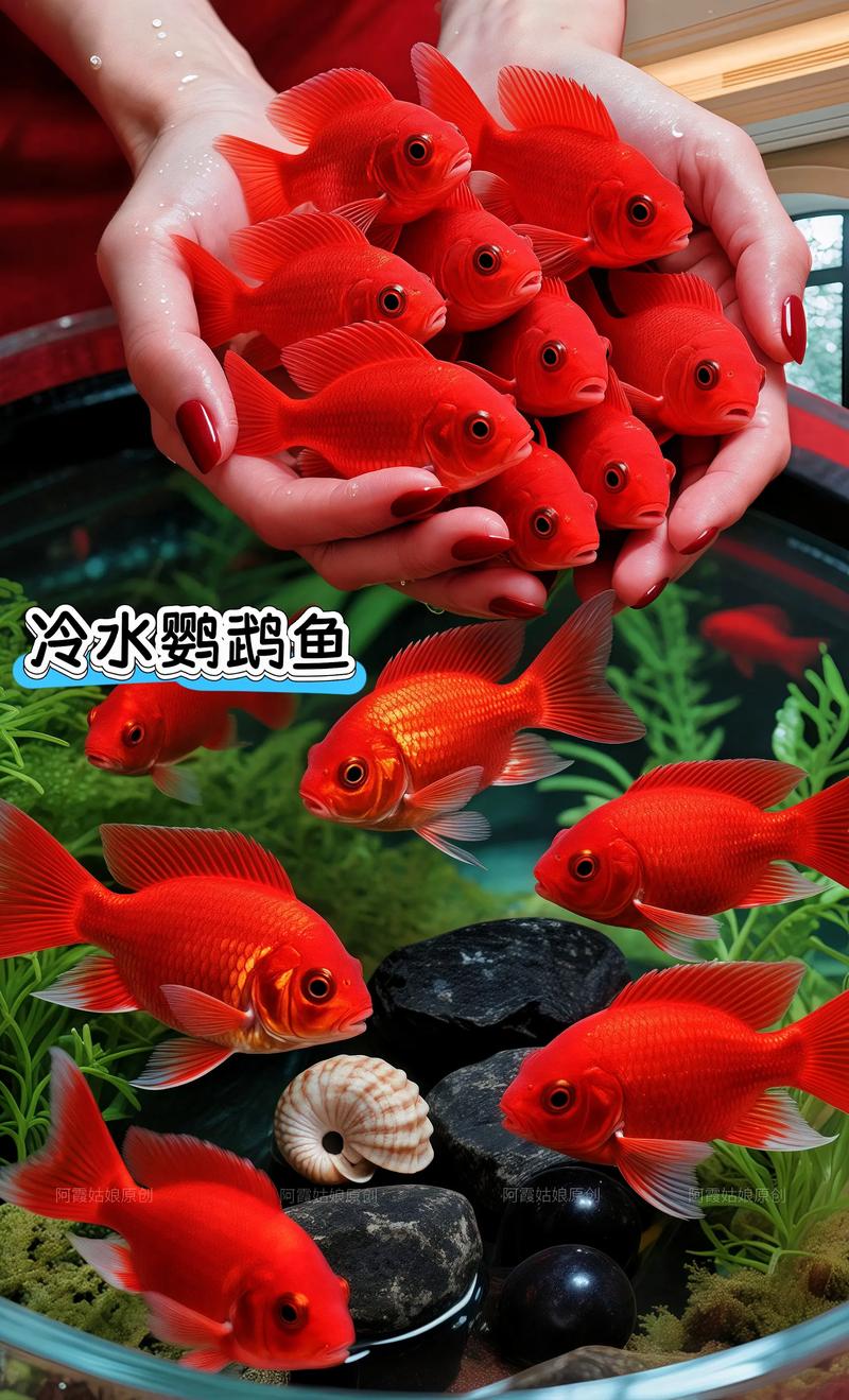 鱼缸水红色是怎么回事图标