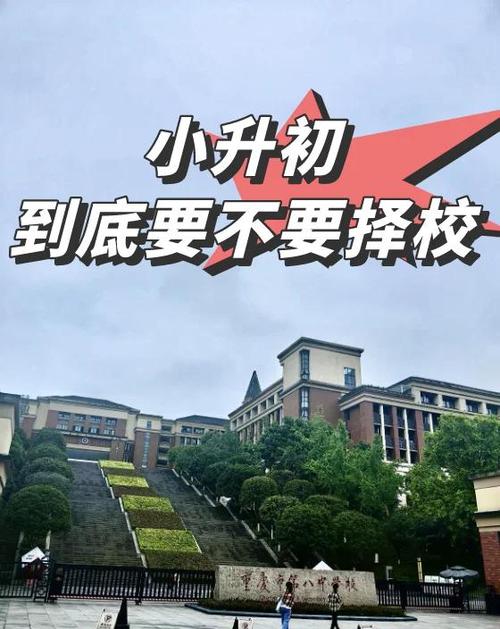 择校截图