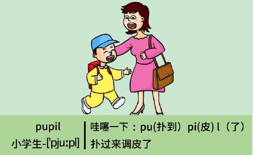 pupil的读音图标