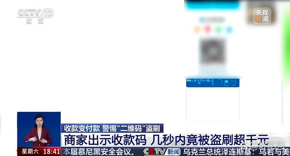 支付宝付款码被盗刷图标