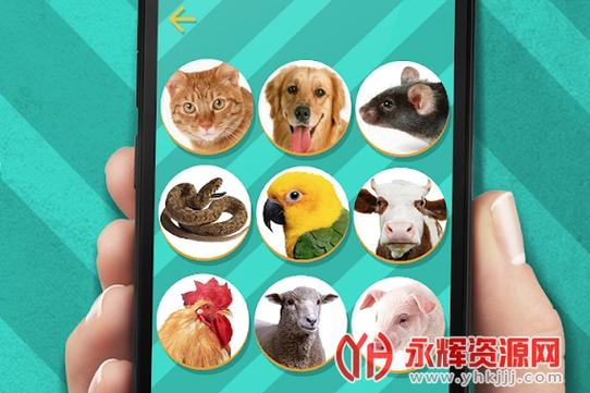 宠物语言翻译器下载图标