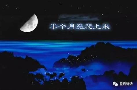星月文学在线阅读图标