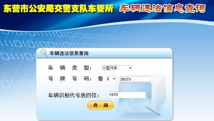 车管所可以查车辆信息吗截图