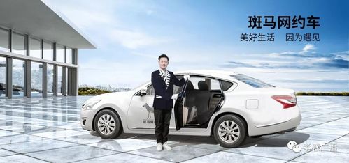 斑马快跑司机招聘截图