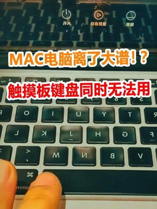 mac触摸板轻点没反应图标
