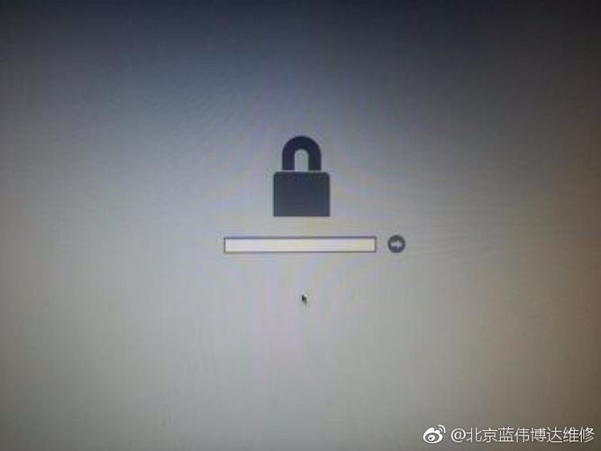 苹果强制解除pin码截图