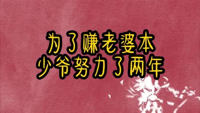 赚老婆本什么意思图标