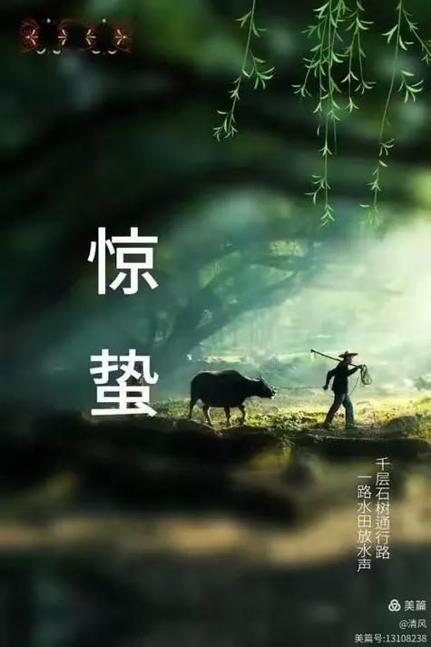 【值关·朝花夕拾】2012惊蛰公益广告