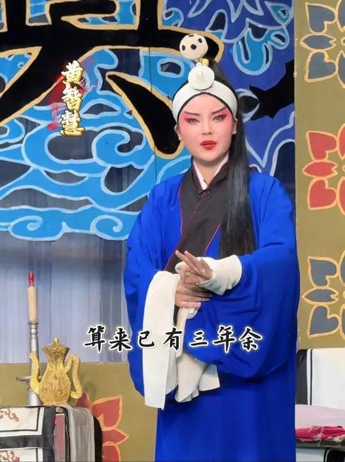 荆州花鼓戏李天保全集