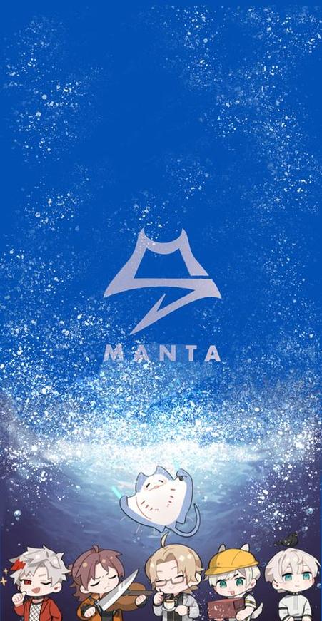 德国MANTA图标