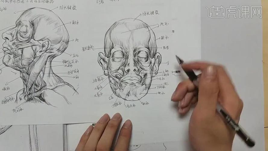 医学速写是真的吗图标