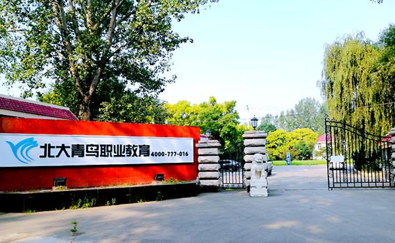 北京北大青鸟学校图标