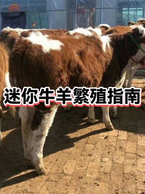 迷你世界怎么让牛繁殖图标