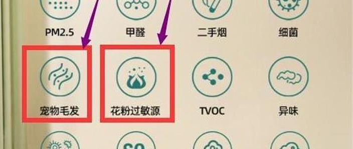 净化什么意思截图