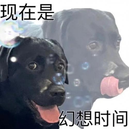 现在是幻想时间表情包截图