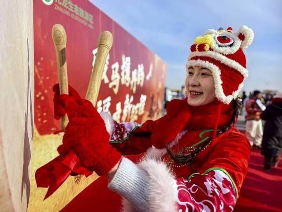 齐齐哈尔第七套鹤舞飞扬图标