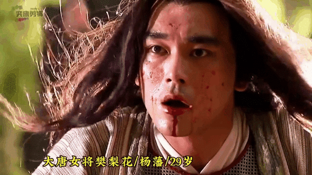 杨藩是谁的后代图标