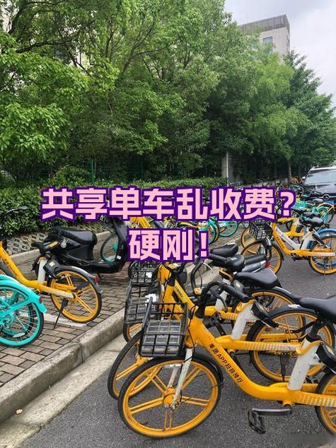 共享单车要钱不截图