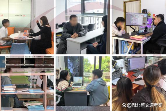 线上和线下补课哪个好图标