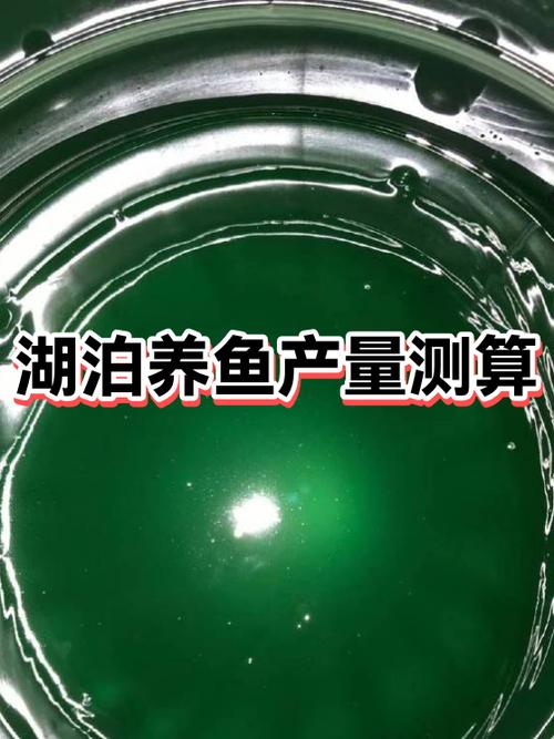 10个人一般点多少斤鱼图标