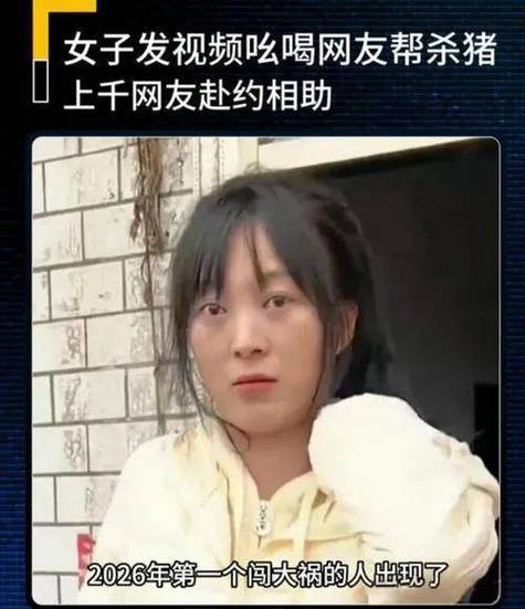 呆呆视频合集图标
