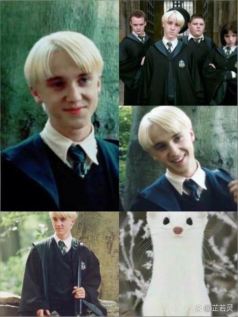 德拉科主攻图标