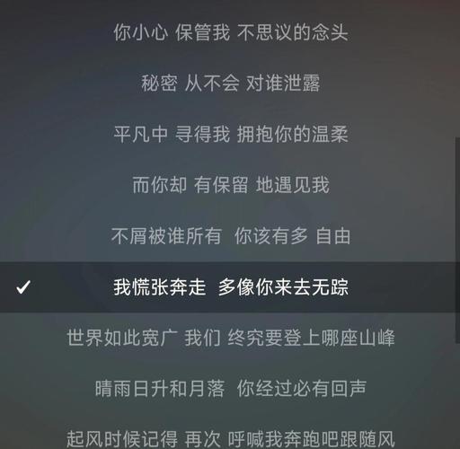 粤语歌词今次我的什么太天真截图