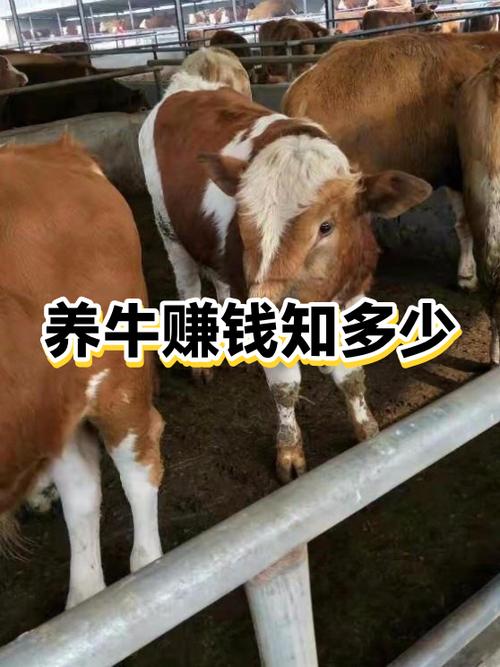 全民养牛谁赚钱了图标