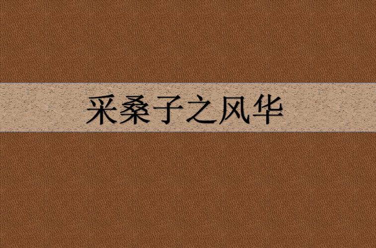 风华小说的推荐指数图标
