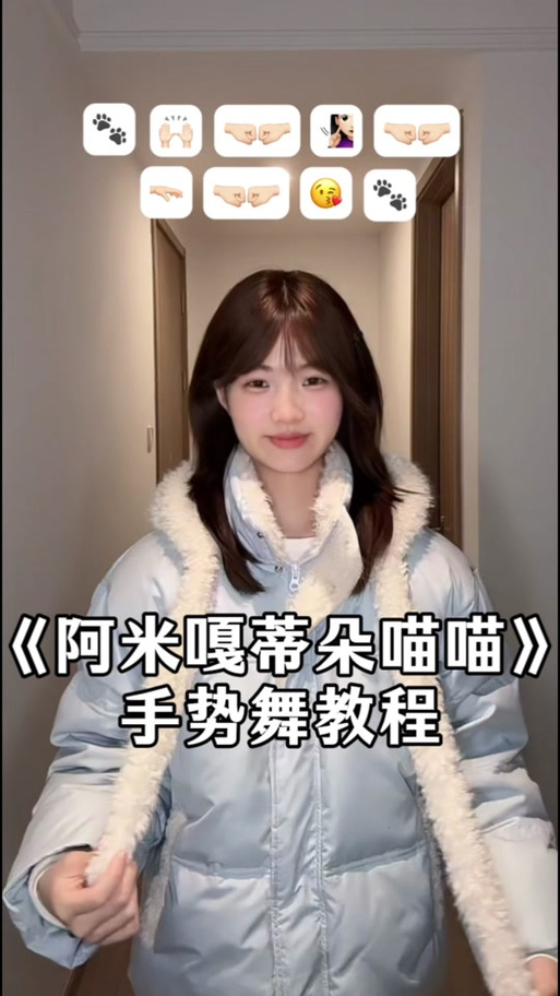 最近很火的喵喵歌图标