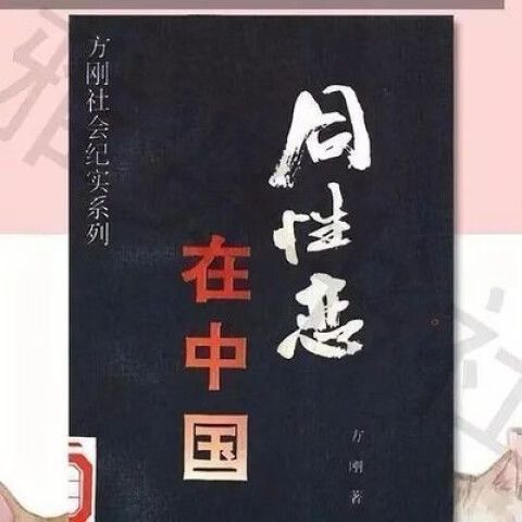 已出版的同志书籍截图