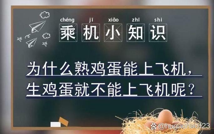 坐飞机带50个鸡蛋可以吗图标
