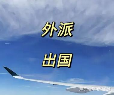 为什么都不愿被外派出国图标