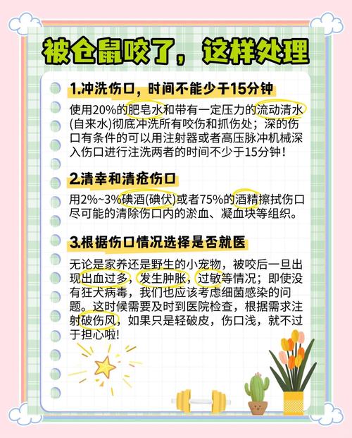 被仓鼠咬到会有事吗缩略图