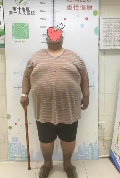 肥胖照片图标