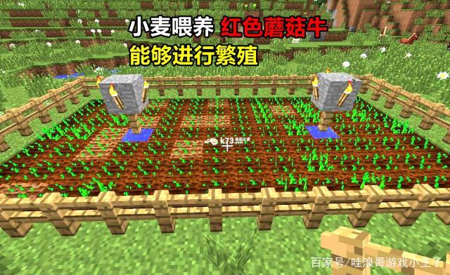 我的世界棕色蘑菇怎么获得图标